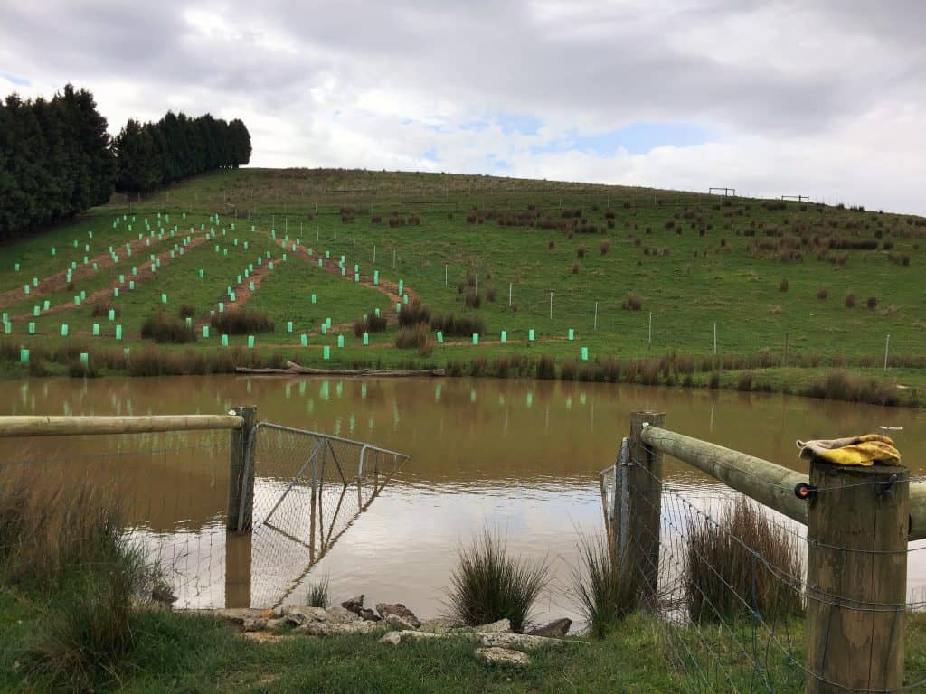 UGLN Farm Dams for Wildlife Project – UGLN